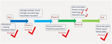 Timeline Duke Mems Experiment Design And Research Methods