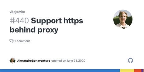 Support Behind Proxy · Issue 440 · Vitejsvite · Github