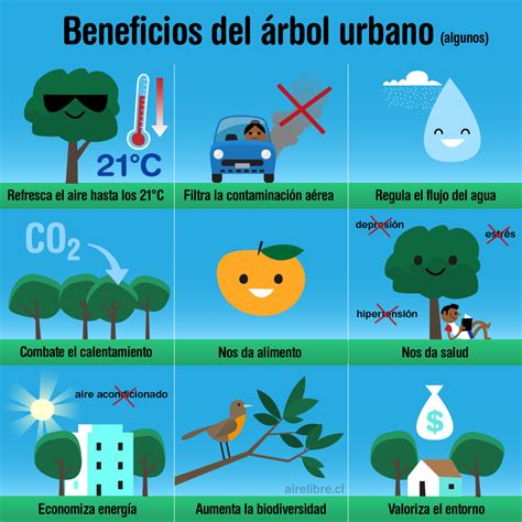 Beneficios Del Árbol Urbano El Mejor Amigo Del Ser Humano Aire Libre