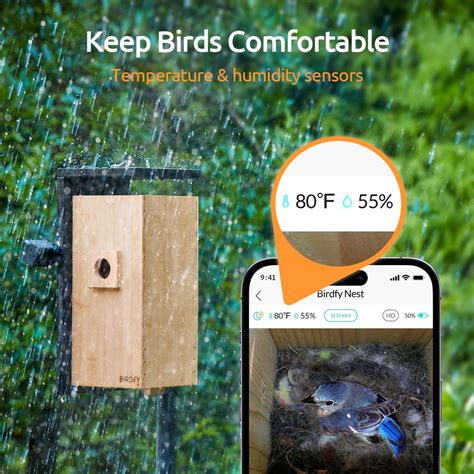 Birdfy Nest Dual Camera Smart Bird House Netvue