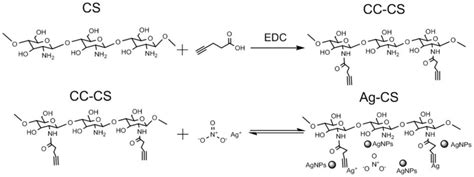 具有强效抗菌和延缓银释放功能的壳聚糖水凝胶及其制备方法
