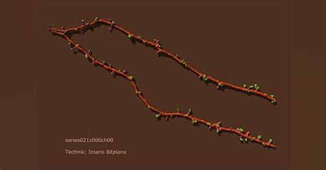 Software Driven Fluorescence Microscopy Visualizes Neuron Activity Laser Focus World