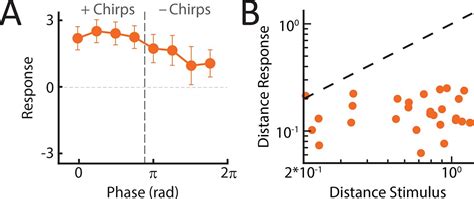 Figures And Data In Neural Correlations Enable Invariant Coding And Perception Of Natural