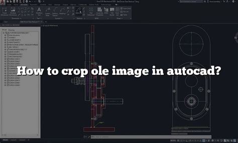 How To Crop Ole Image In Autocad Caddikt