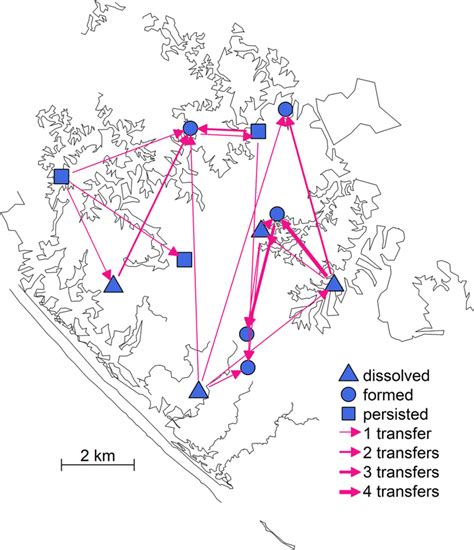 An Overview Of 26 Female Transfers Between 12 Well Sampled Mixed Sex Download Scientific