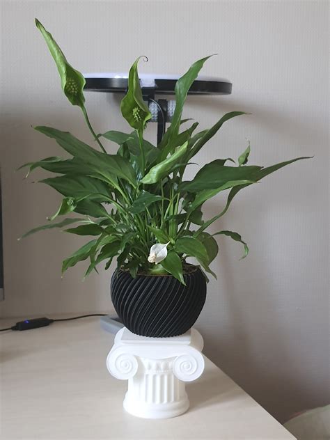 Ionic Column Hidden Case By Konstantin Radchenko Download Free Stl