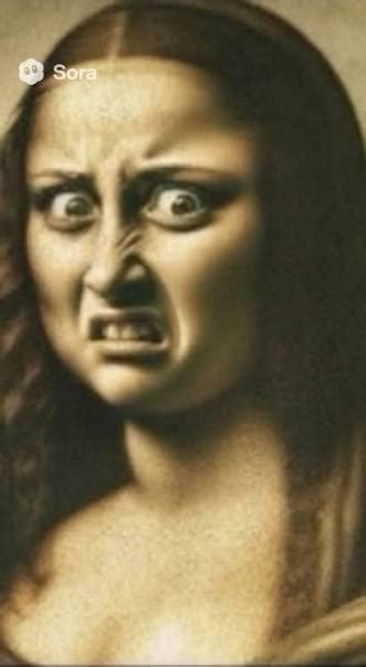 Mona Lisa Funny Face