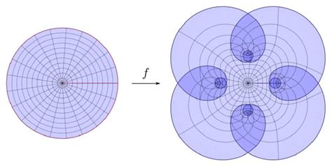 The Disk With Center 0 0 And Radius 12 Is Deformed By The Elastic Download Scientific