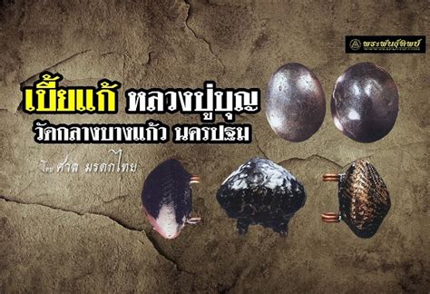 เบี้ยแก้ หลวงปู่บุญ วัดกลางบางแก้ว จังหวัดนครปฐม พุทธคุณทั้งเมตตามหานิยม แคล้วคลาด คงกระพัน