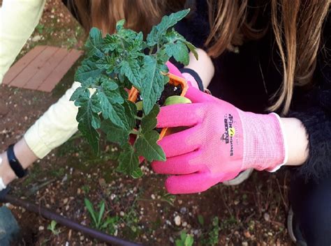 ΤΑ ΠΡΩΤΑ ΒΗΜΑΤΑ ΓΙΑ ΕΝΑΝ ΚΗΠΟ ΑΠΟ ΠΑΙΔΙΑ