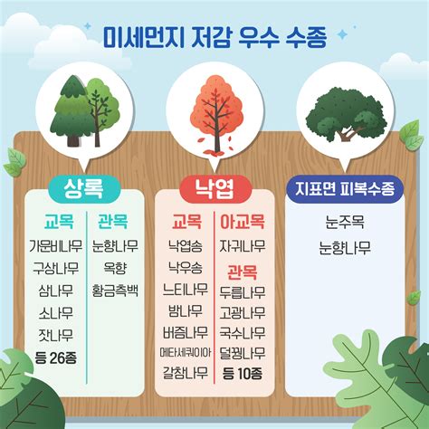 미세먼지 저감 효과가 높은 나무는 무엇 정책뉴스 뉴스 대한민국 정책브리핑