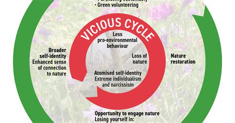 How Do Nature And Self Identity Interact Psychology Today