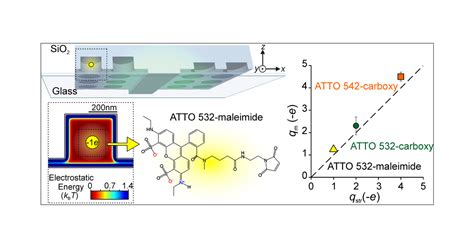 Entropic Trapping Of A Singly Charged Molecule In Solution Nano Letters