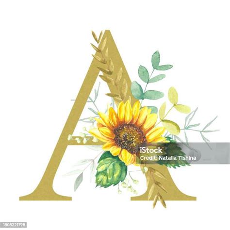 꽃 알파벳 편지 A 알파벳 문자는 차분한 금색이며 해바라기 유칼립투스 및 다양한 허브의 수채화 꽃으로 장식되어 있습니다 가을에 대한 스톡 벡터 아트 및 기타 이미지 Istock