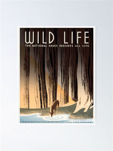 Restored Usa Dept Of The Interior And National Park Service Wildlife