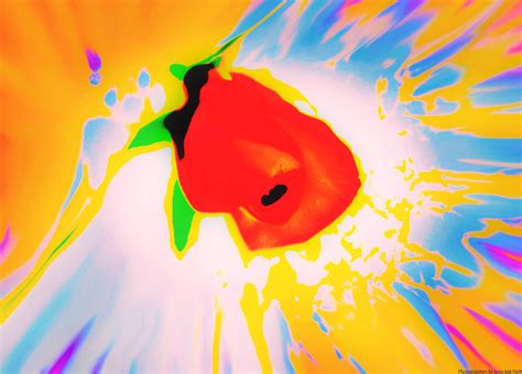 박종각 On Twitter 이는 주가 너의 영원한 빛이 될 것이며 또 네 슬픔의 날들이 끝나게 될 것임이라 네 사람들도 모두 의롭게 될 것이요 그들이 땅을