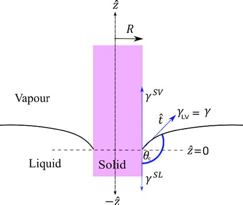 10 Schematic Of A Solid S Cylindrical Object An Approximation Of An Download Scientific