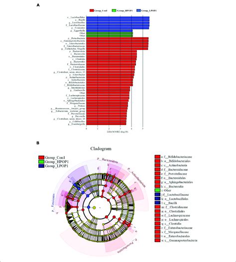 Lefse Analysis Showing The Most Differentially Abundant Taxa Lda