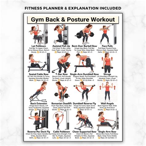Gym Back And Posture Workout Poster Cable And Dumbbell Upper And Lower