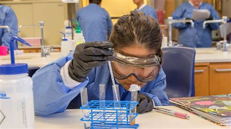 Lab Assistant Certification Sacramento Cosmeticsmusli