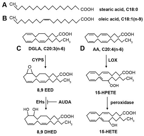 Non Esterified Fatty Acids Vs Free Fatty Acids At Samantha Straus Blog