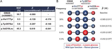 Haplotypes Of The Lead Non Coding Gwas Snp Rs560887 And The Three Download Scientific Diagram