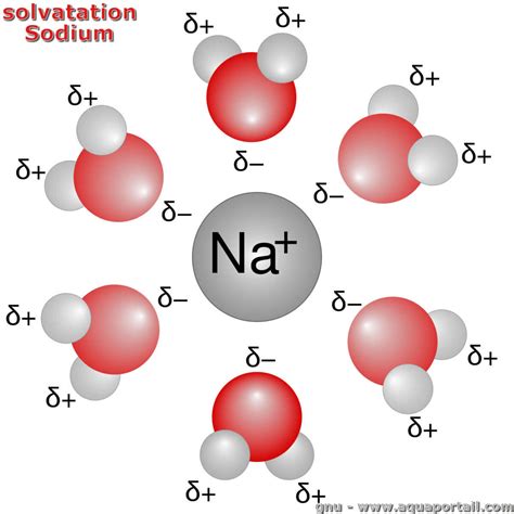 Solvatation Définition Et Explications