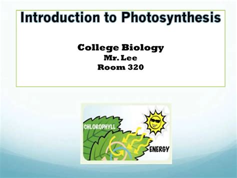Ppt Introduction To Photosynthesis College Biology Mr Lee Room 320