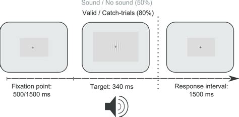 Schematic Representation Of A Trial Sequence After A Randomly Chosen