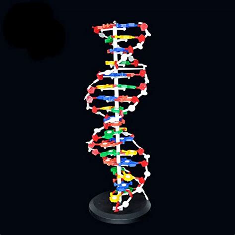 Mulaj Model Adn Material Didactic