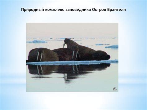 Объекты всемирного наследия ЮНЕСКО в России Online Presentation