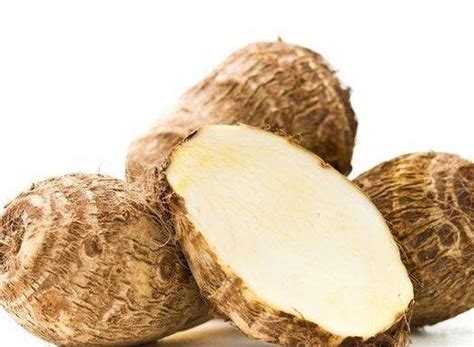 Detail Contoh Tumbuhan Yang Berkembang Biak Dengan Rhizoma Koleksi Nomer 19