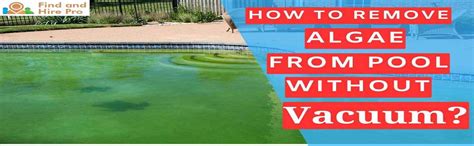 How To Remove Algae From Pool Without Vacuum Fastest Way
