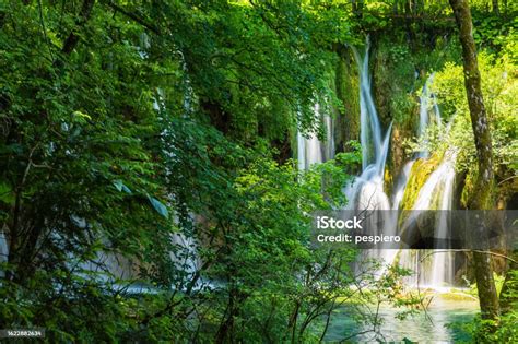 플리트비체 호수 국립공원의 원시림과 떨어지는 폭포 크로아티아 0명에 대한 스톡 사진 및 기타 이미지 0명 강 경관 Istock