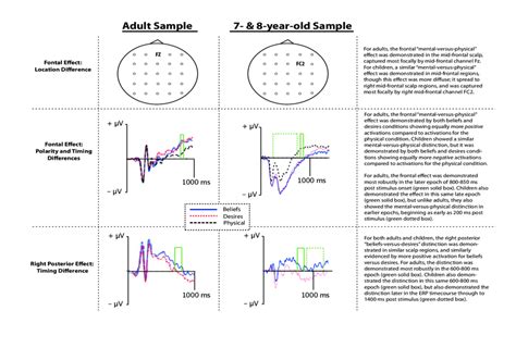 1 Summary Of Erp Component Differences For Adult Liu Et Al 2009a