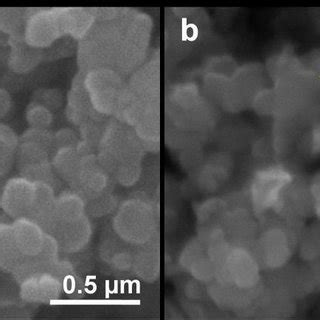 SEM Images Of A TiO2 Anatase And B TiO2 C 12 Download Scientific Diagram