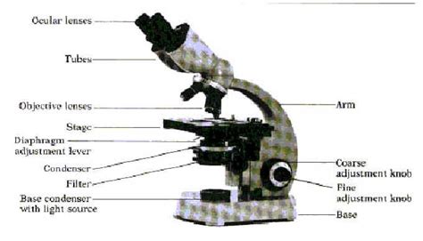 กล้องจุลทรรศน์