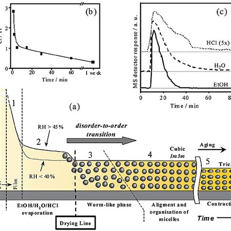 Pdf Versatility Of Evaporation Induced Self Assembly Eisa Method