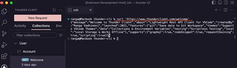 thunder client guide the ultimate guide to mastering thunder client