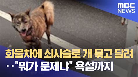화물차에 쇠사슬로 개 묶고 달려‥뭐가 문제냐 욕설까지 20220608뉴스데스크mbc Youtube