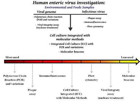 Molecular And Cell Culture Main Methods Used To Detect Human Enteric Download Scientific