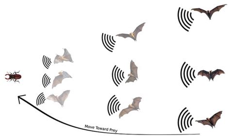 Algorithms Special Issue Artificial Intelligence Algorithms In