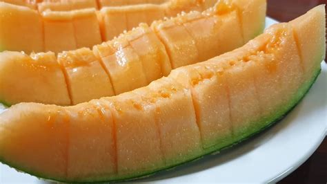 건설공무 15톤 덤프트럭과 25톤 덤프트럭앞사발이의 토사 반출량 및 적재용량