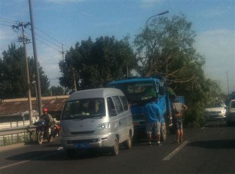 Truck Carrying Big Tree Hits Minivan In China