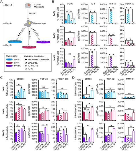 Figure 1 From Substrate Stiffness Directs The Phenotype And