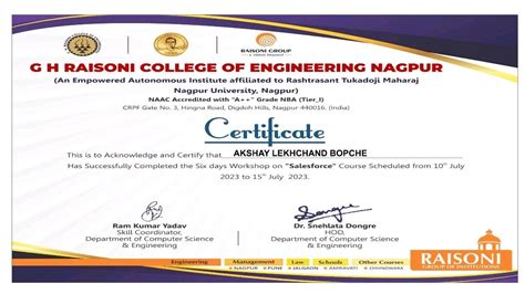 Akshay Bopche On Linkedin Salesforce Professionaldevelopment