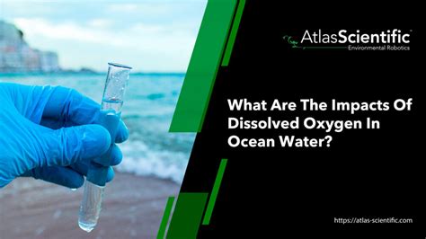What Are The Impacts Of Dissolved Oxygen In Ocean Water Atlas Scientific