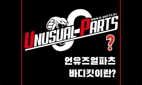 현대 아반떼n 전용 언유즈얼파츠 바디킷튜닝 아반떼n 프론트댐 스플리터 에어댐 립댐 네이버 블로그