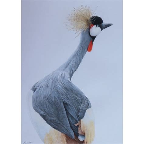 Alan Woollett