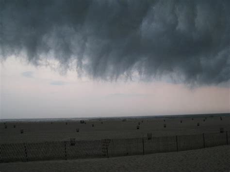 Danielle Ackerman Photography